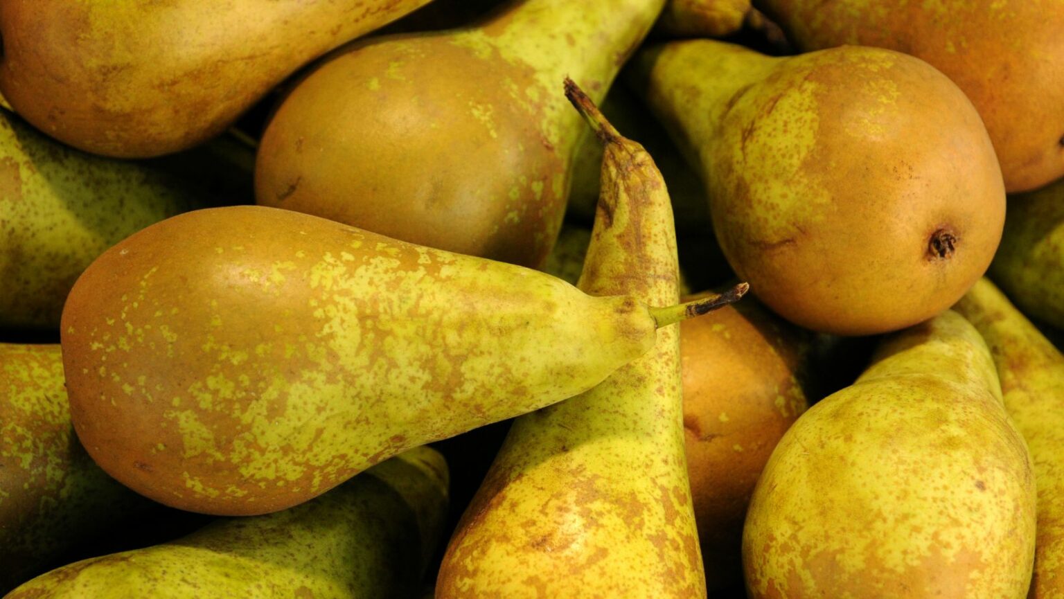 How Long Do Harry And David Pears Last Justalittlebite