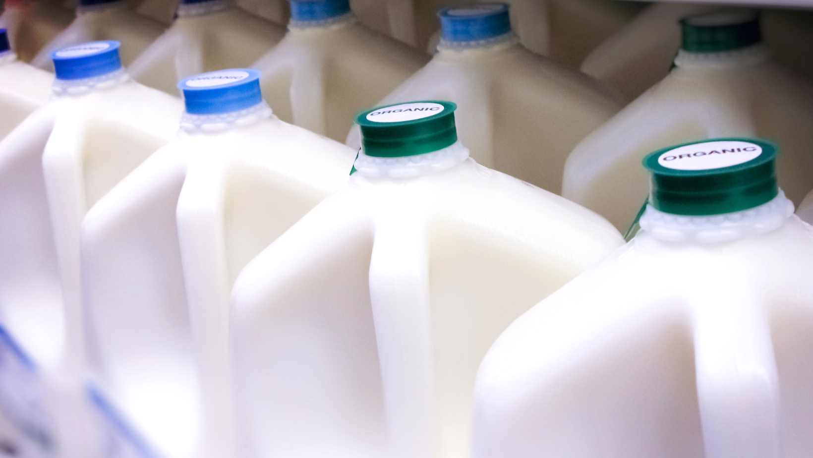 How Many 750 Ml In A Half Gallon Find Out The Conversion JustALittleBite