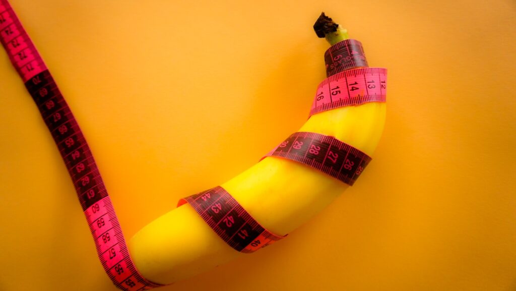 What Is The Average Penis Size For A 13 Year Old Boy JustALittleBite
